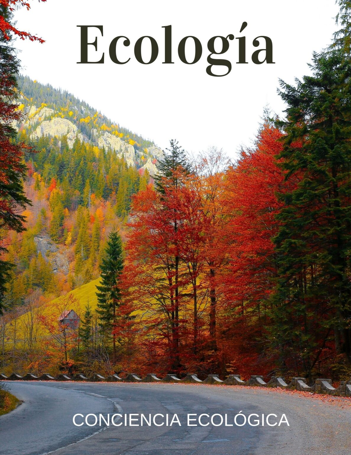 20 Portadas de Ecología Bonitas y Descargables » Conciencia.eco
