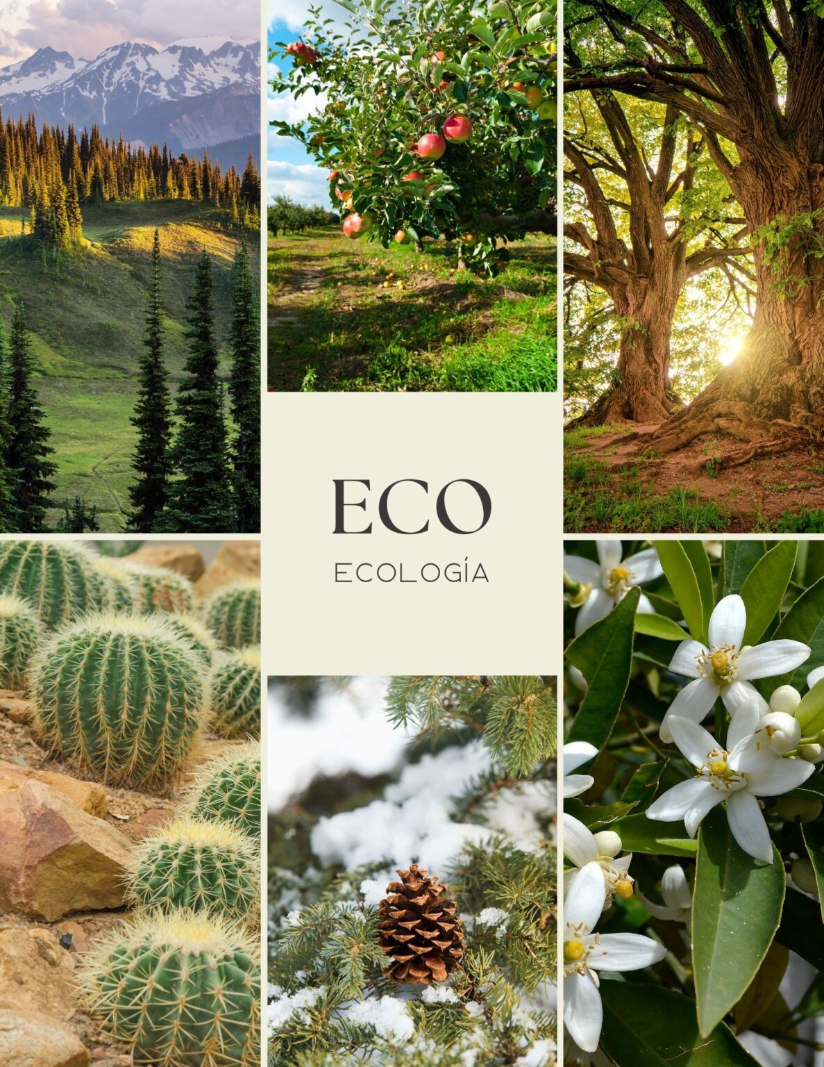 20 Portadas de Ecología Bonitas y Descargables » Conciencia.eco