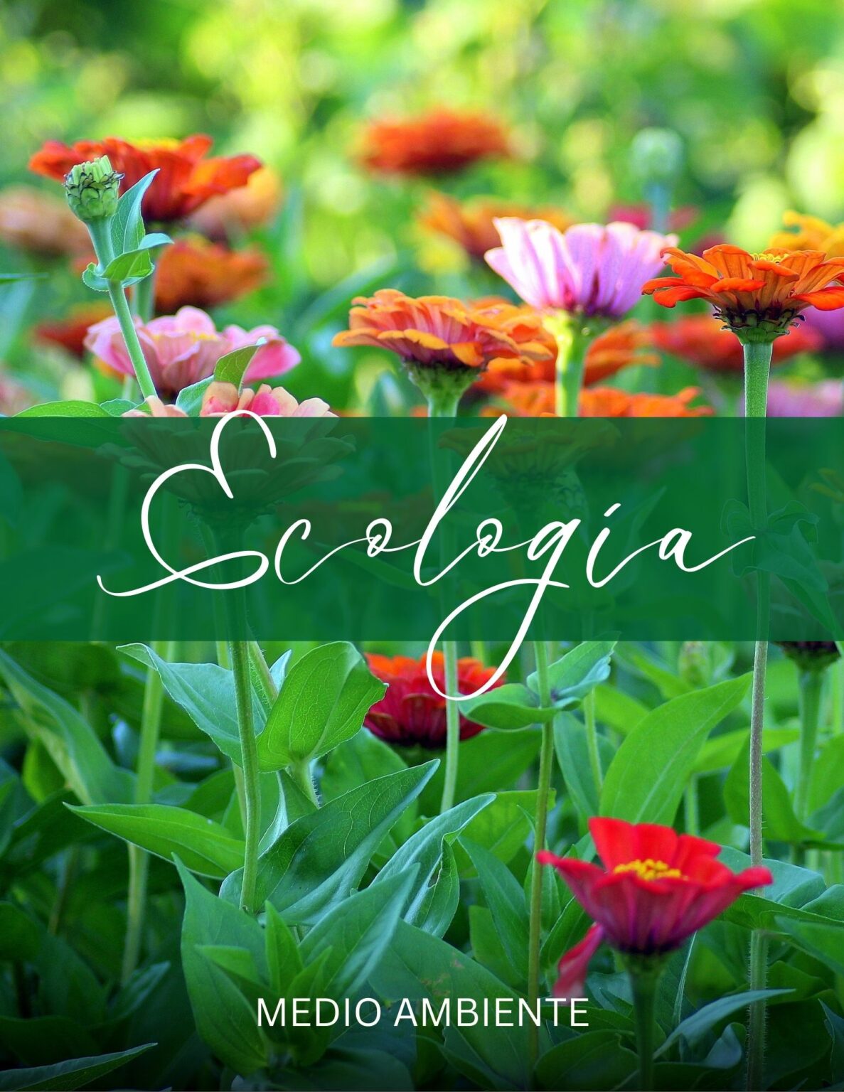 20 Portadas de Ecología Bonitas y Descargables » Conciencia.eco