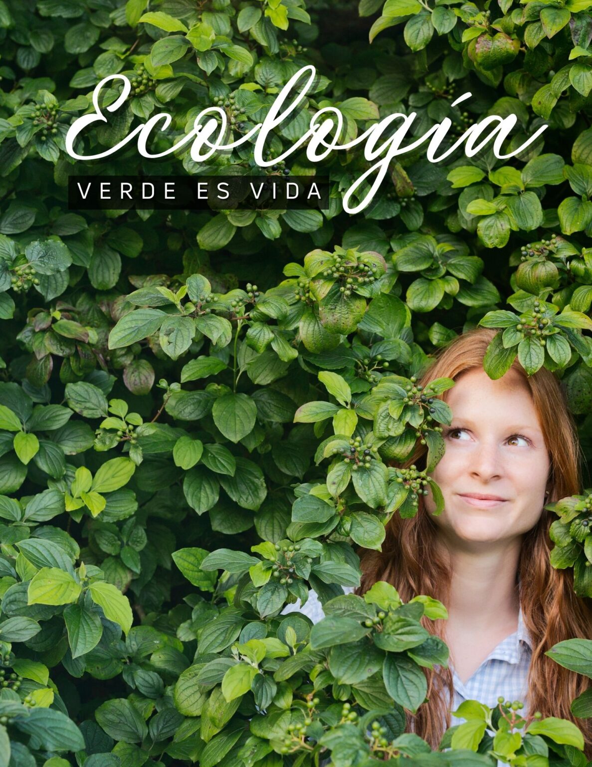20 Portadas de Ecología Bonitas y Descargables » Conciencia.eco