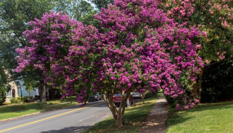 Árbol de Júpiter: Transforma Tu Jardín con Flores Celestiales ...