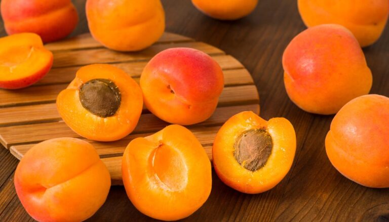 Árbol de Chabacano: Sorpresas Dulces bajo el Sol » Conciencia.eco