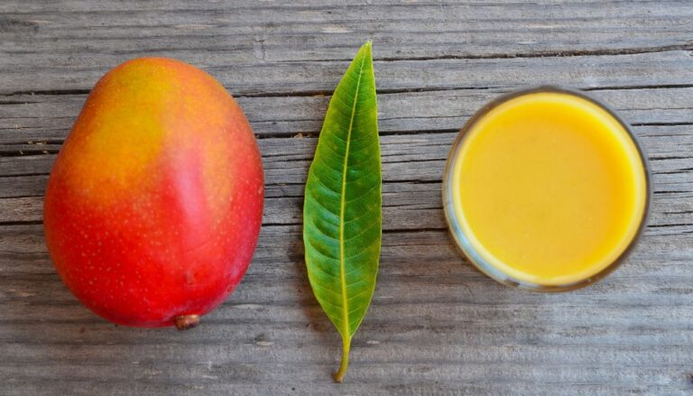 Árbol de Mango: Dulzura Tropical que Enamora » Conciencia.eco